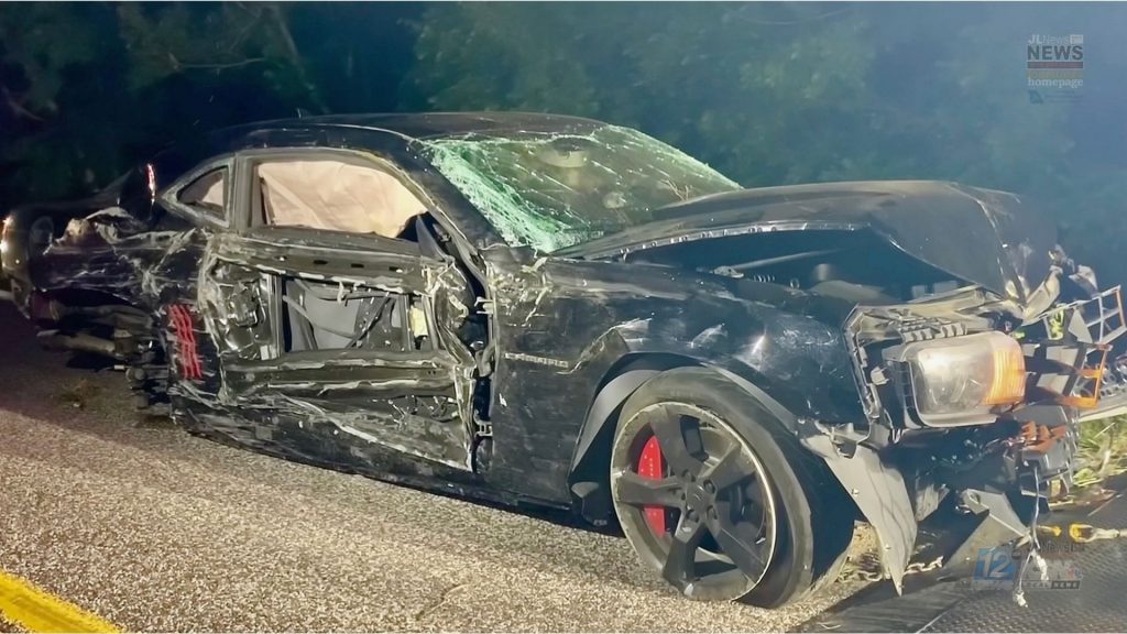 Should You Swerve to Miss a Deer? – Gear Guide Pro