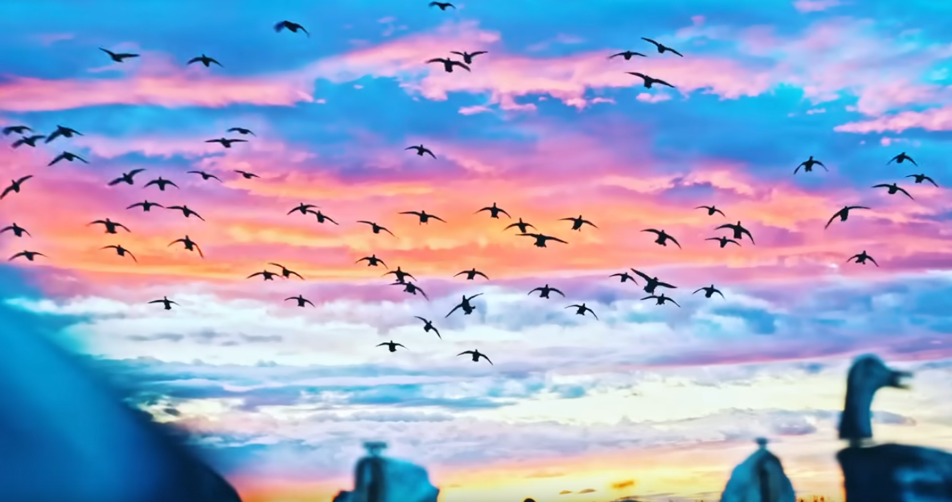 When Does Duck Hunting Season Start in California: Everything You Need ...